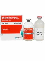 Merck Nasalgen IP Cattle Vaccine | On Sale | EntirelyPets Rx