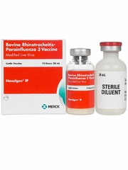 Merck Nasalgen IP Cattle Vaccine | On Sale | EntirelyPets Rx