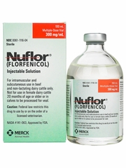 Merck Nuflor | On Sale | EntirelyPets Rx