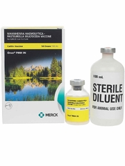 Merck Once PMH Cattle Vaccine | On Sale | EntirelyPets Rx