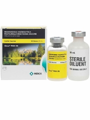 Merck Once PMH Cattle Vaccine | On Sale | EntirelyPets Rx