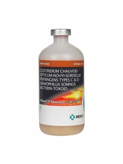 Merck Vision 7, 8 & CD Vaccine | On Sale | EntirelyPets Rx