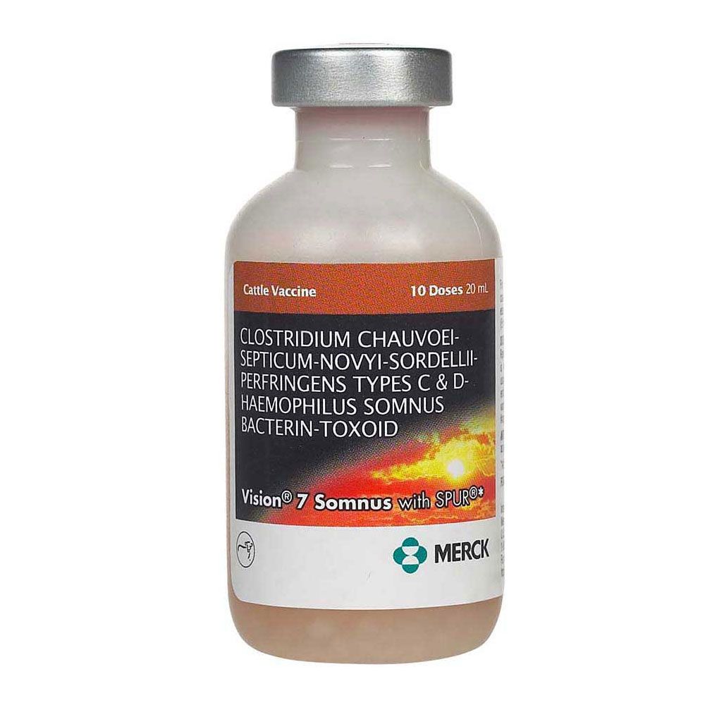 Merck Vision 7 Somnus with Spur Cattle Vaccine, 20mL | On Sale ...