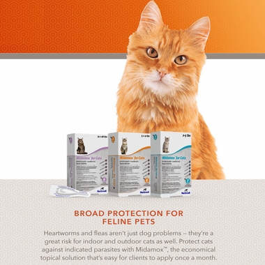 Midamox for Cats 5.1 to 9 Pounds, Orange Label (6 Dose) | On Sale ...