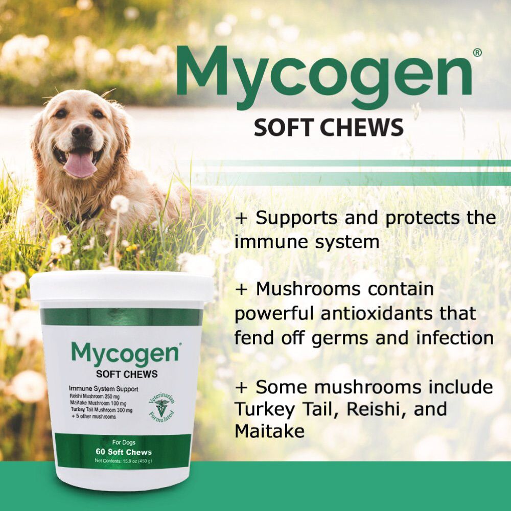 Mycogen for Dogs | On Sale | EntirelyPets Rx