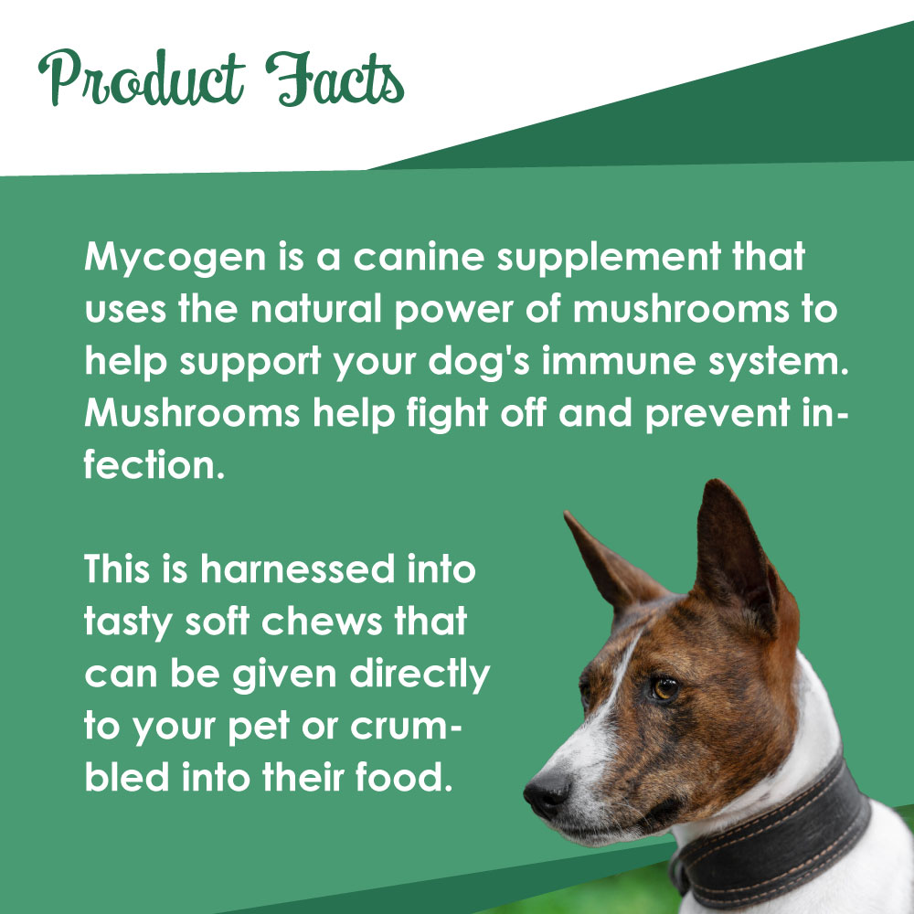 Mycogen Mushroom Immune System Support with TurkeyTail + 7 other ...