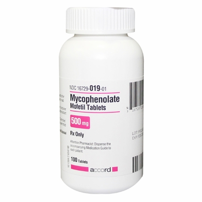 Mycophenolate Tablets, 500mg, 1 count | On Sale | EntirelyPets Rx