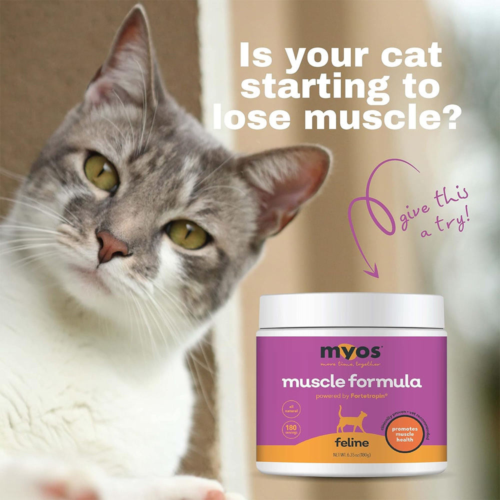 Myos Corp Feline Muscle Vet Formula, 198 gram | On Sale | EntirelyPets Rx