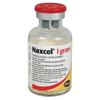 Naxcel - 1gm vial 20ml | On Sale | EntirelyPets Rx