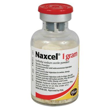 Naxcel - 1gm vial 20ml | On Sale | EntirelyPets Rx
