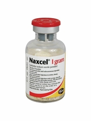 Other Medications | On Sale | EntirelyPets Rx