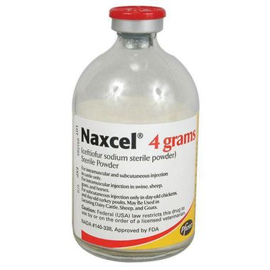 Naxcel - 4gm vial 80ml | On Sale | EntirelyPets Rx