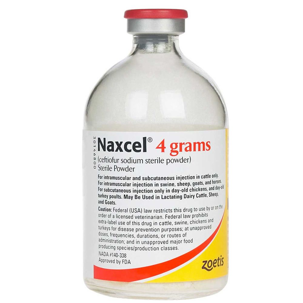 Naxcel (Ceftiofur Sodium) Sterile Powder, 4gm | On Sale | EntirelyPets Rx