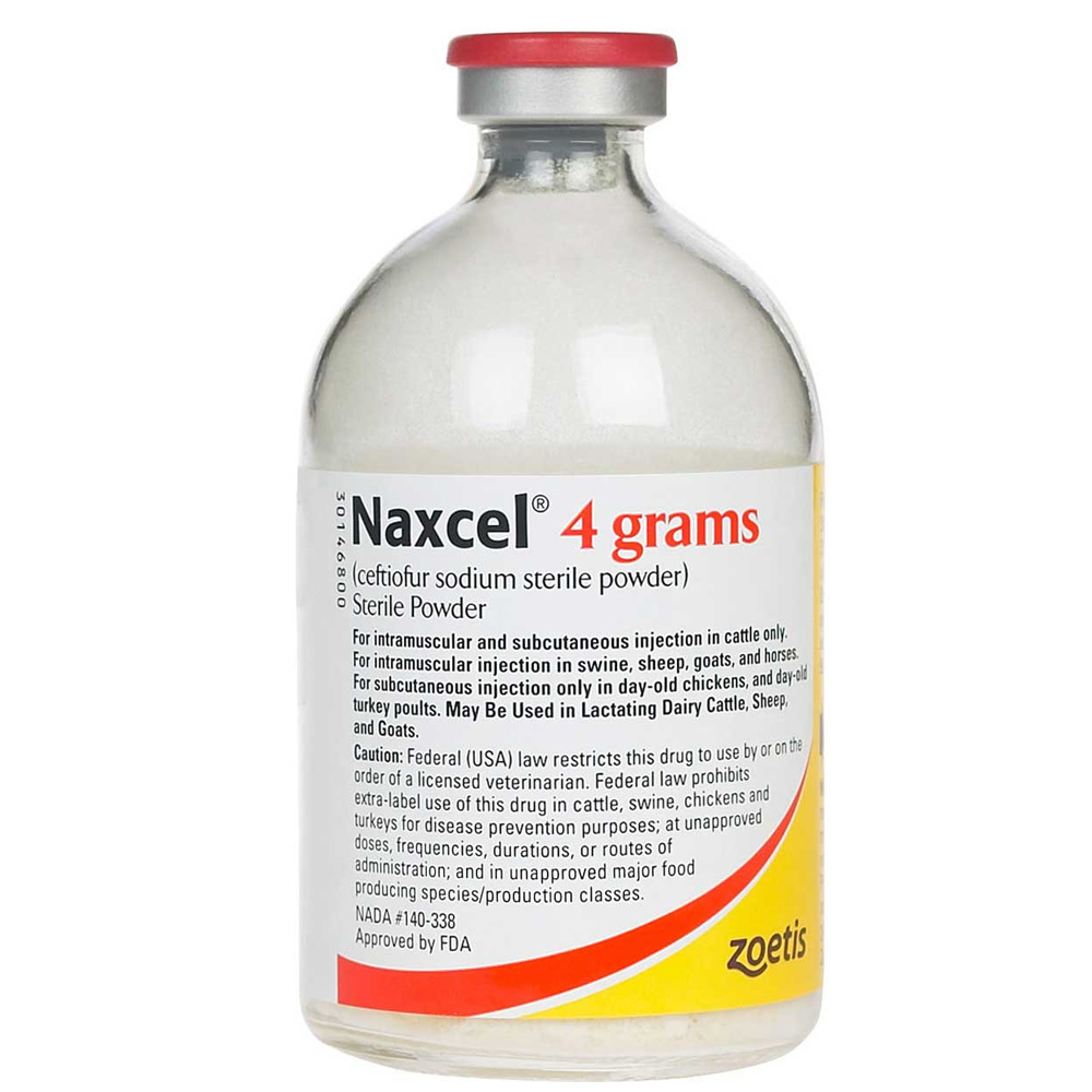 Naxcel for Animals - (Ceftiofur Sodium) Sterile Powder, 4gm ...