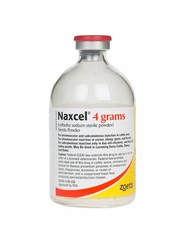 Naxcel | On Sale | EntirelyPets Rx