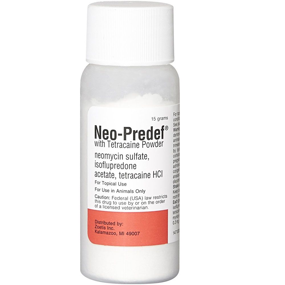 Neo-Predef with Tetracaine Topical Powder (15 gm) | On Sale ...