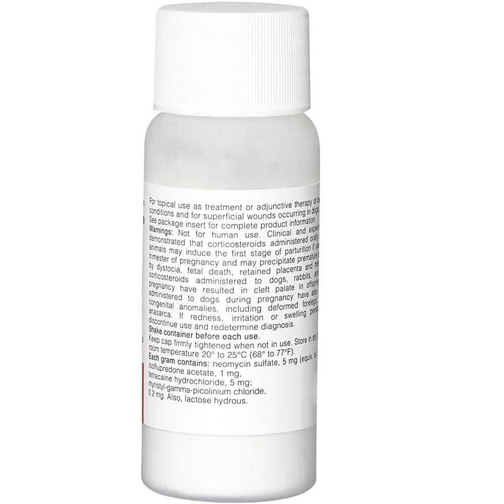 Neo-Predef with Tetracaine Powder for Dogs, Cats & Horses - Topical ...