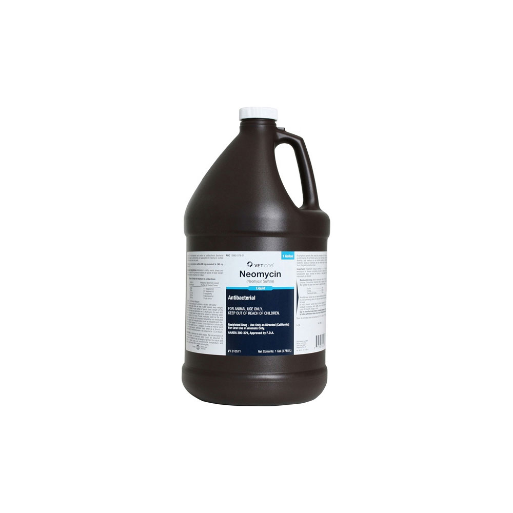 Neomycin (Neomycin Sulfate) Antibacterial Liquid, 1 Gallon | On Sale ...