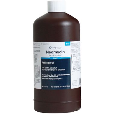 Neomycin (Neomycin Sulfate) Antibacterial Liquid, 16oz | On Sale ...