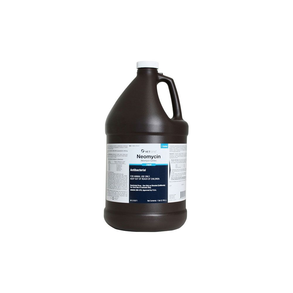 Neomycin (Neomycin Sulfate) Antibacterial Liquid | On Sale ...