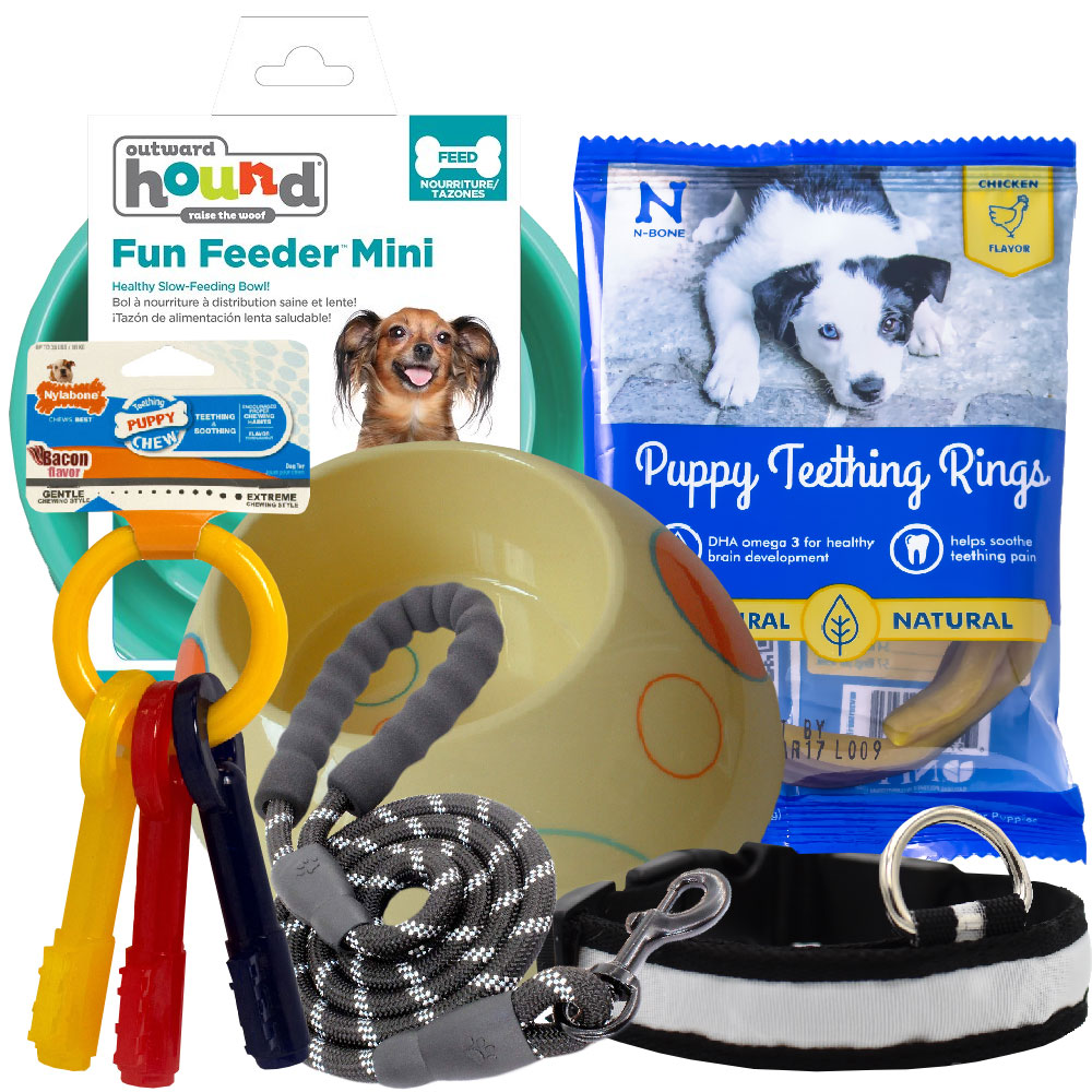 New Puppy Starter Kit | On Sale | EntirelyPets Rx