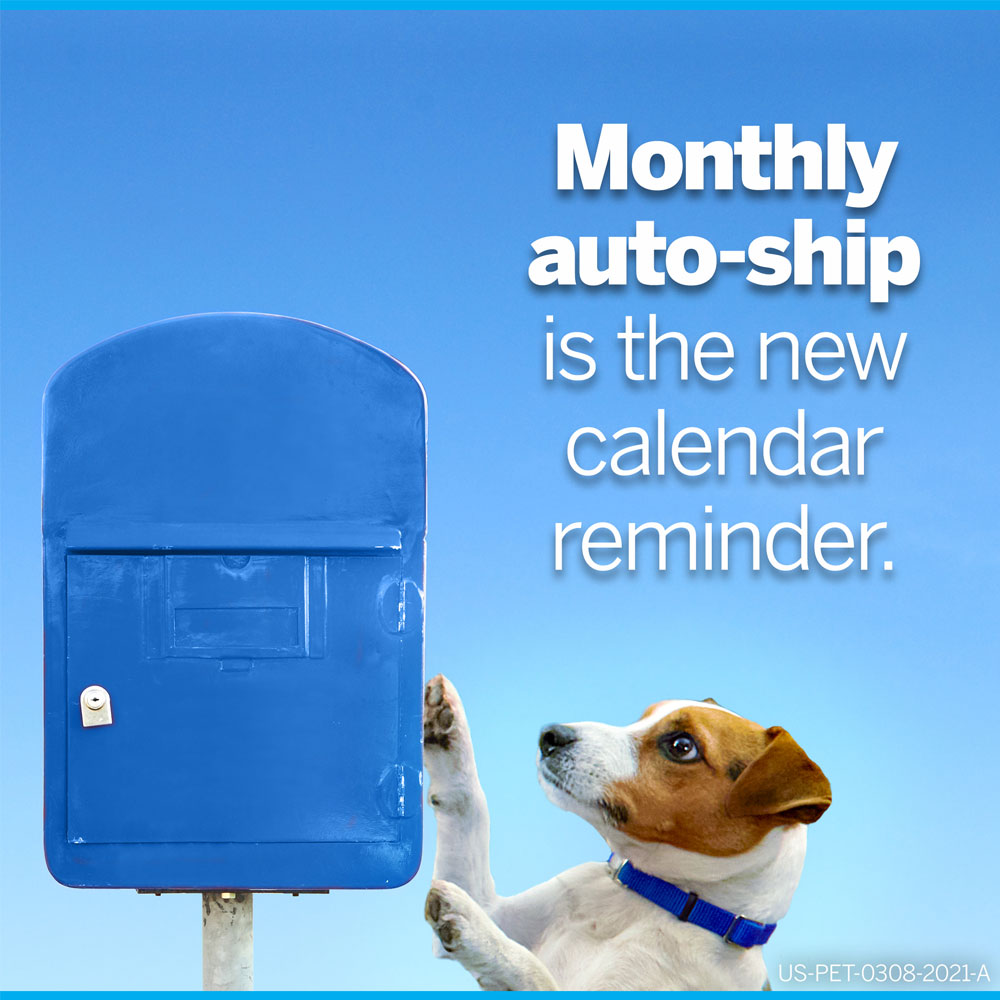 NexGard Chewables for Dogs 60.1-121 lbs (1 Chew) | On Sale | EP Rx