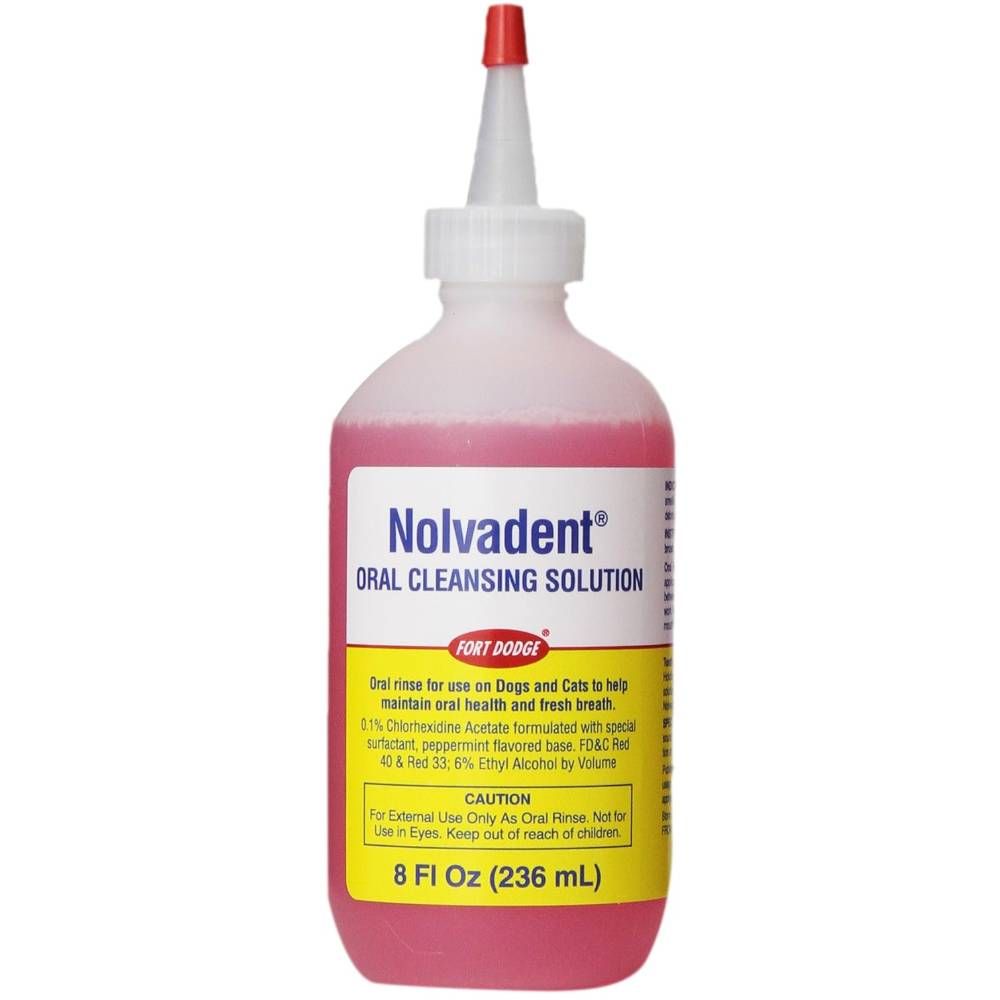 Nolvadent Oral Cleansing Solution With Dropper (8 oz) - [Dental Health ...