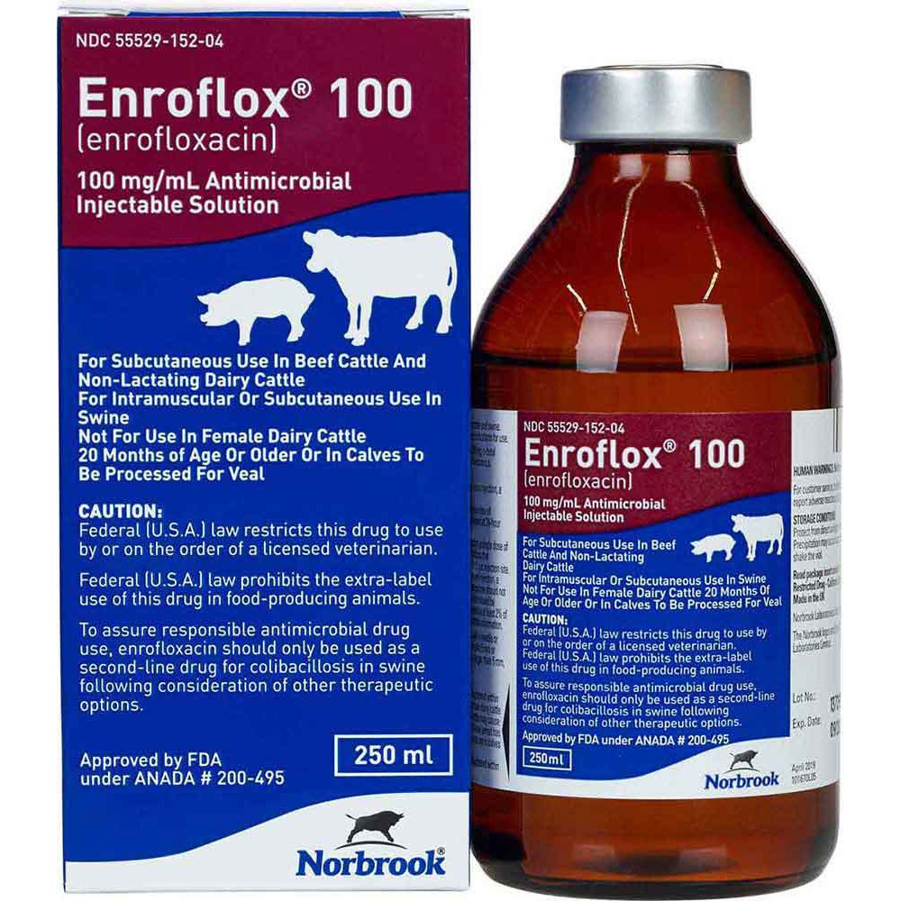 Norbrook Enroflox 100 (Enrofloxacin) for Cattle & Swine - Antimicrobial ...