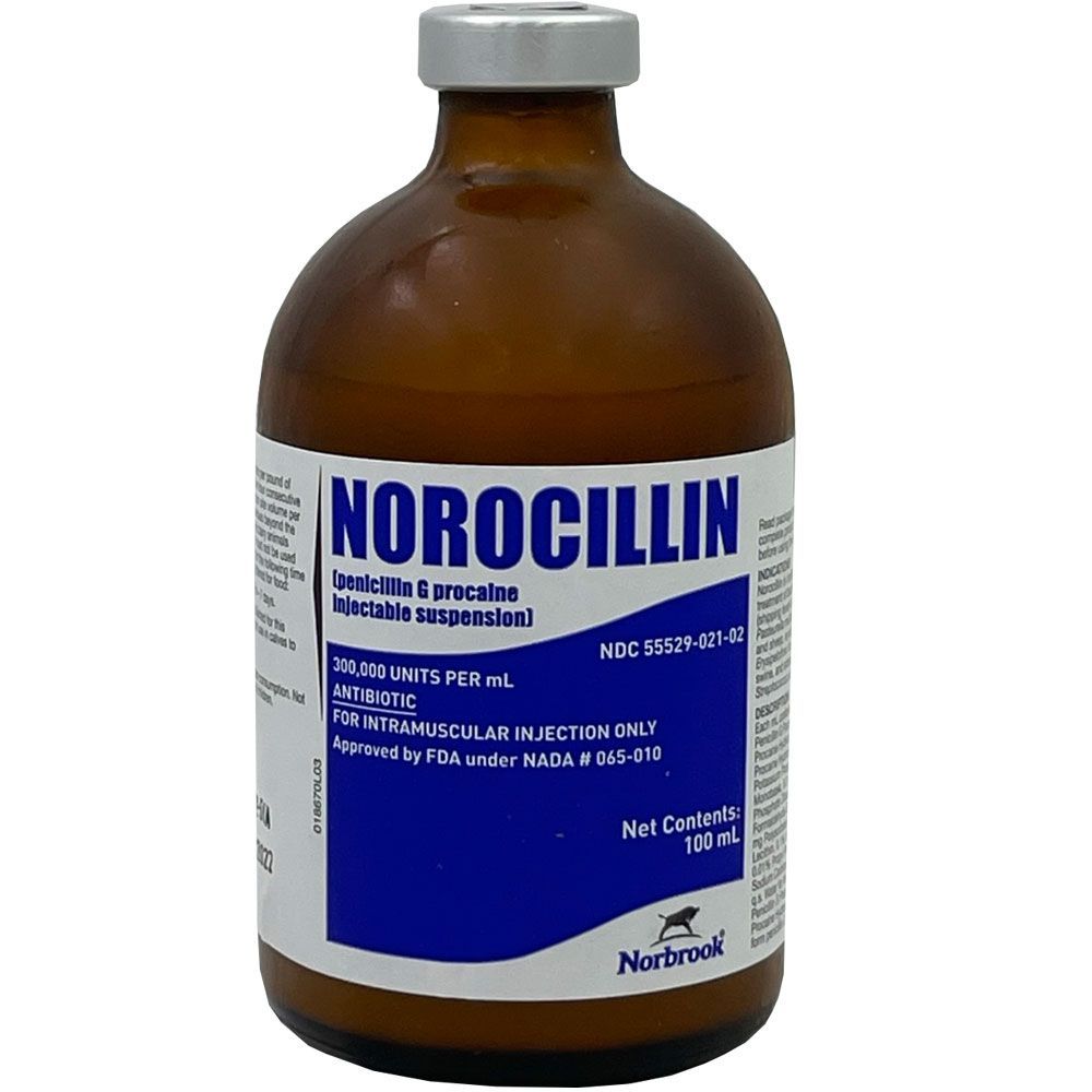 Norocillin (Penicillin G procaine Injectable suspension) 100 mL | On ...