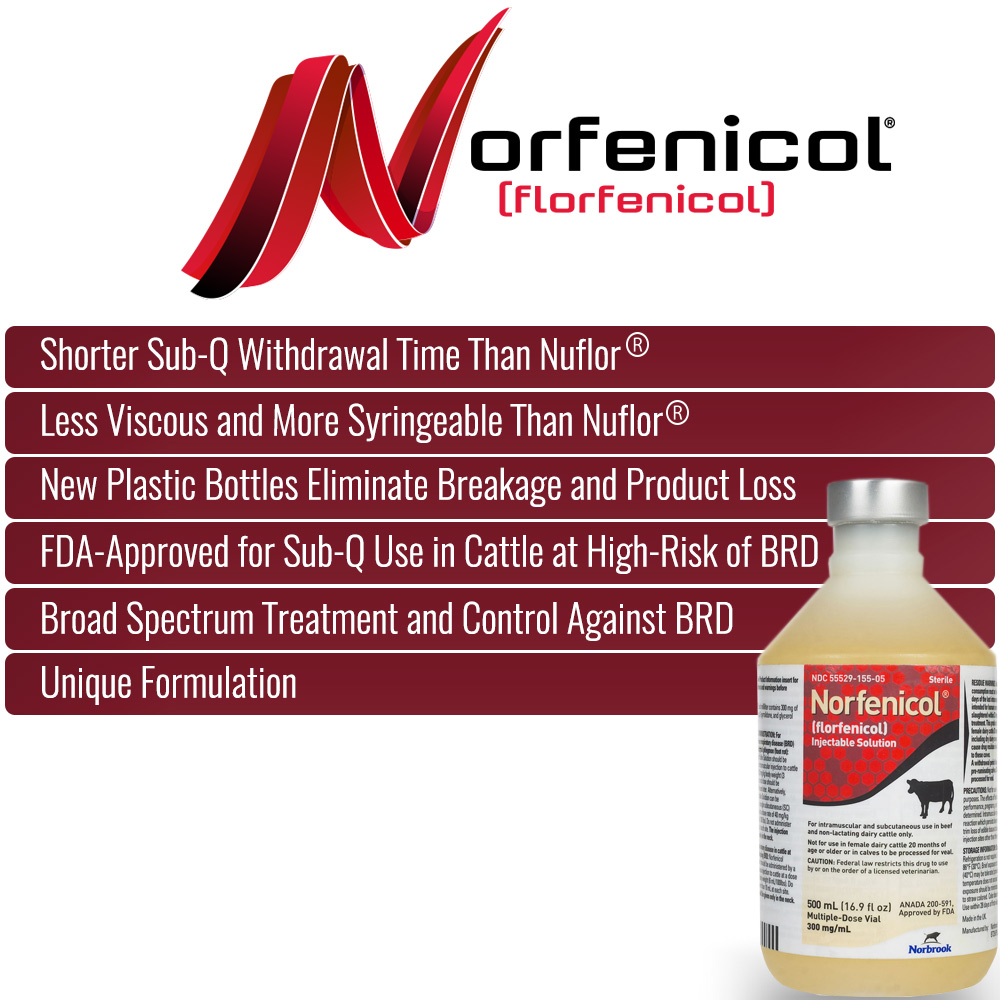 Norfenicol Injectable Solution - 300 mg/ml (100 mL Vial) | On Sale ...