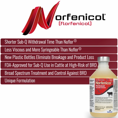 Norfenicol Injectable Solution - 300 mg/ml (500 mL Vial) | On Sale ...