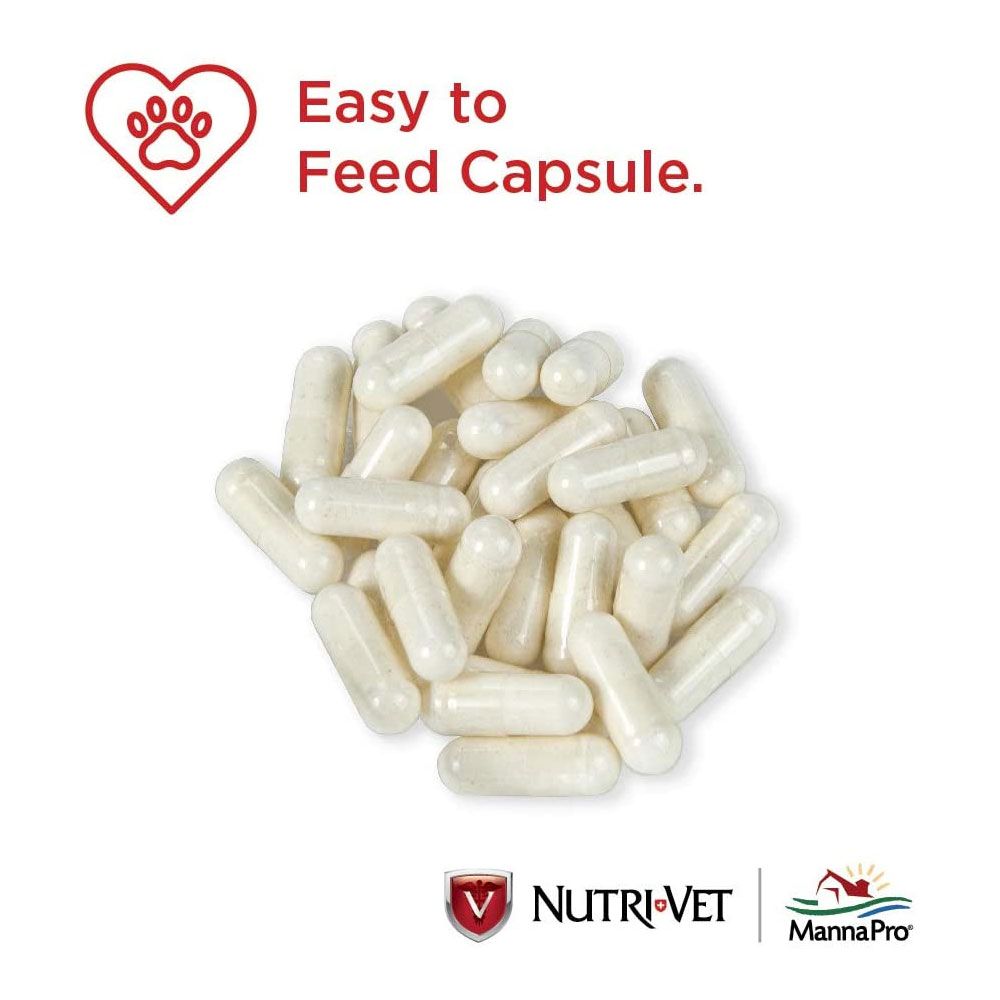 Nutri-Vet Probiotics for Dogs (60 Chewables) | On Sale | EntirelyPets Rx