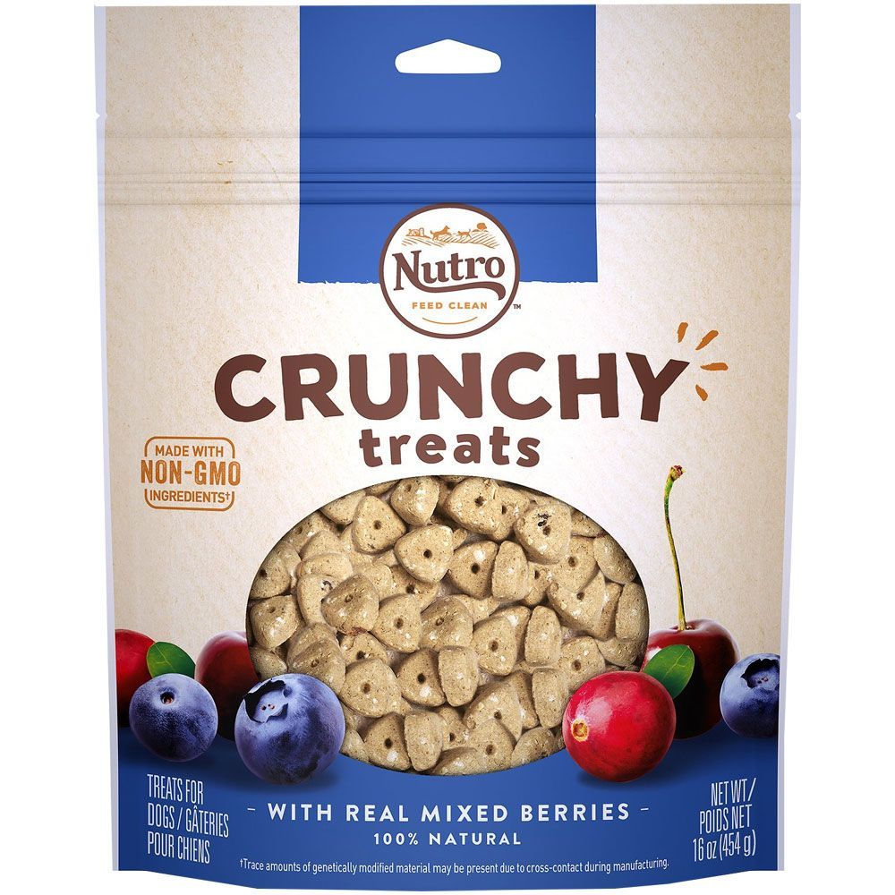Nutro Small Crunchy Natural Dog Treats with Real Mixed Berries (16 oz ...