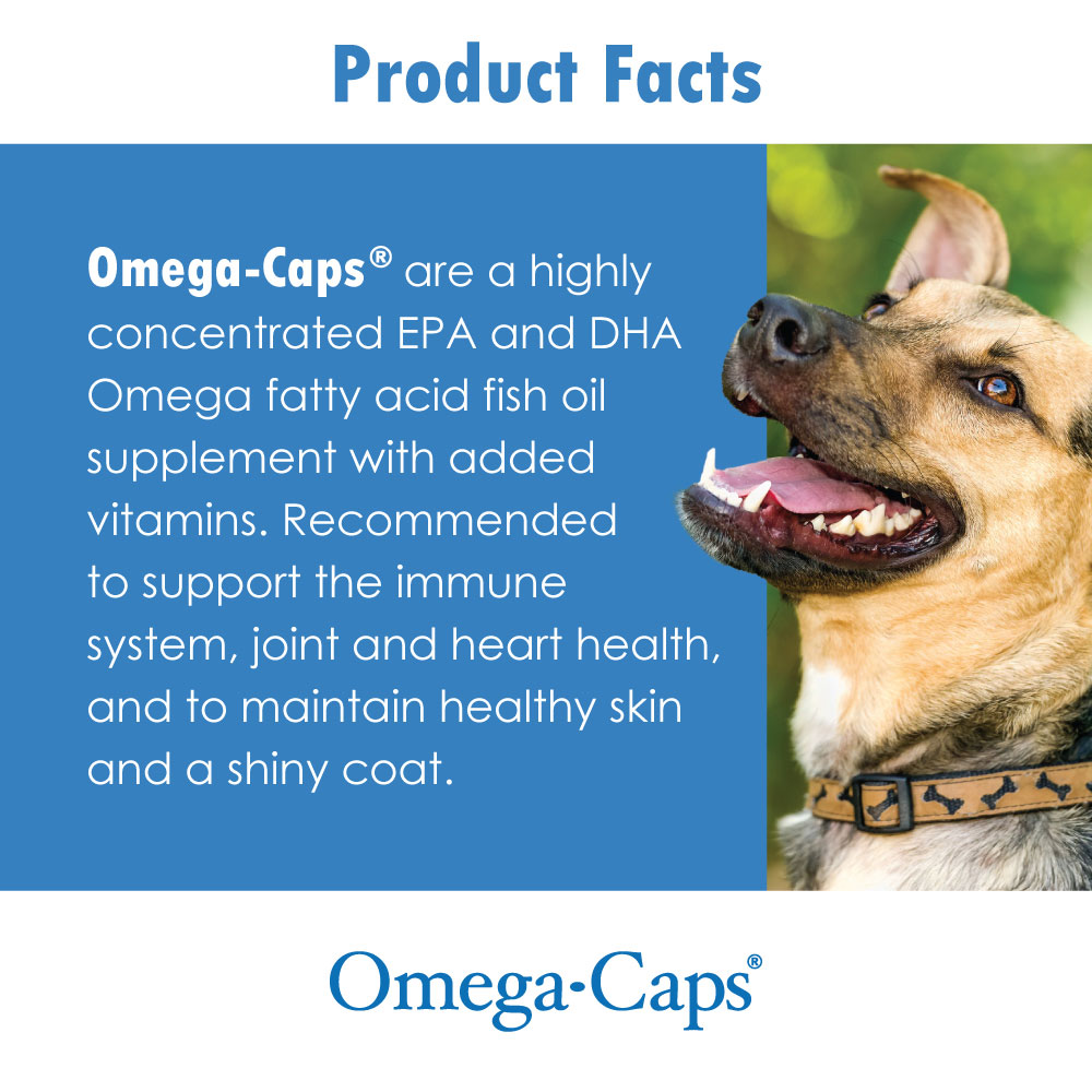 Omega-Caps For Medium Dogs (60 Softgel Capsules) | On Sale ...