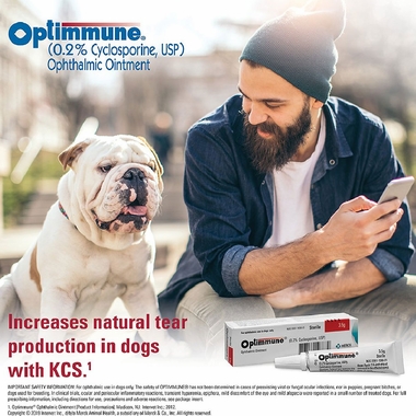 Optimmune Ointment for Dogs 3.5 gm | On Sale | EntirelyPets Rx