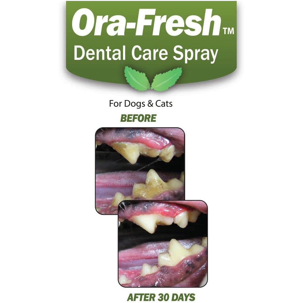 Ora-Fresh Dental Care Spray (8 oz) | On Sale | EntirelyPets Rx