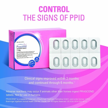 Prascend Tablets 1 mg (160 Tablets) | Free Shipping* | EP Rx