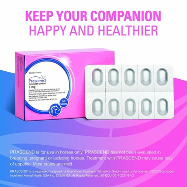 Prascend Tablets 1 mg (60 Tablets) | Free Shipping* | EP Rx