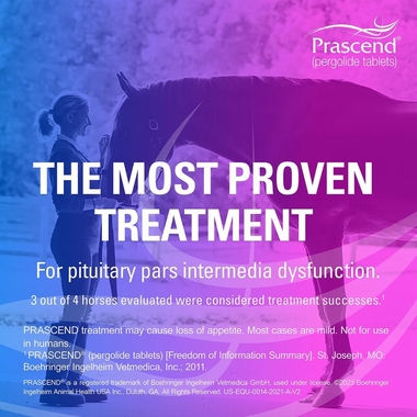 Prascend Tablets 1 mg (60 Tablets) | Free Shipping* | EP Rx