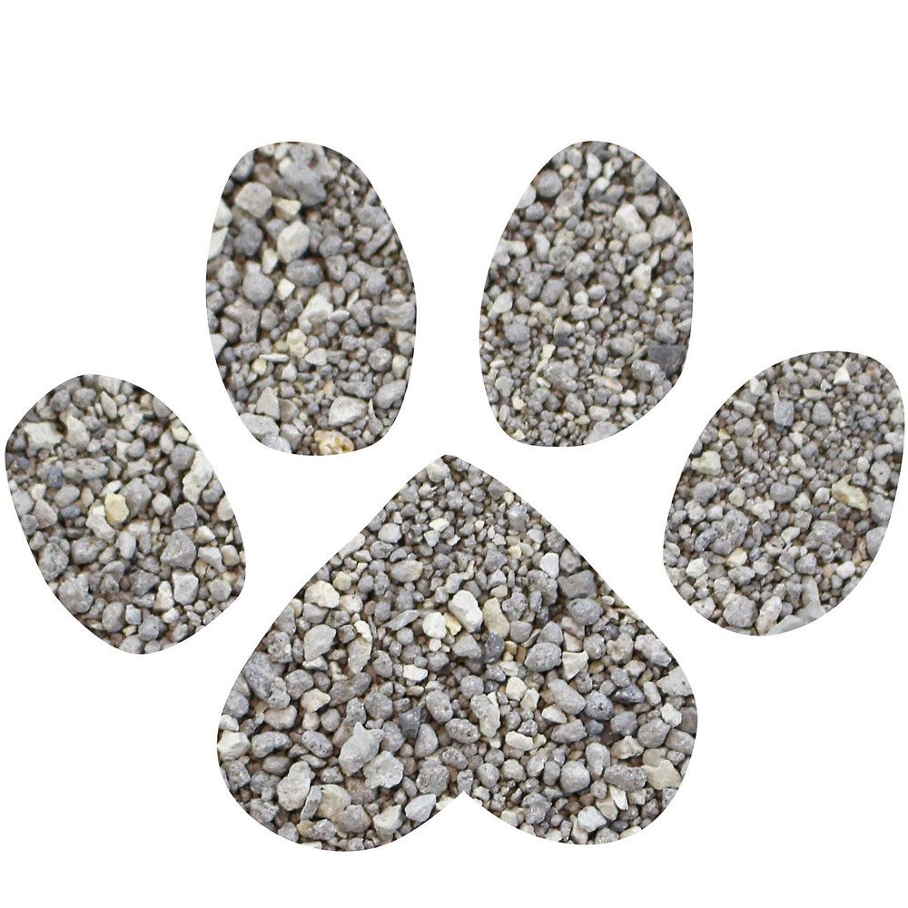 Precious Cat Cat Attract Training Litter (20 lbs) | On Sale ...