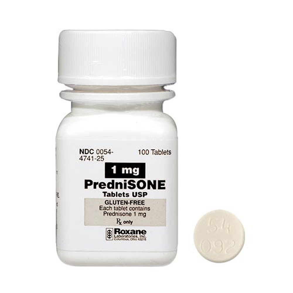 What Are The Side Effects Of Prednisolone In Dogs