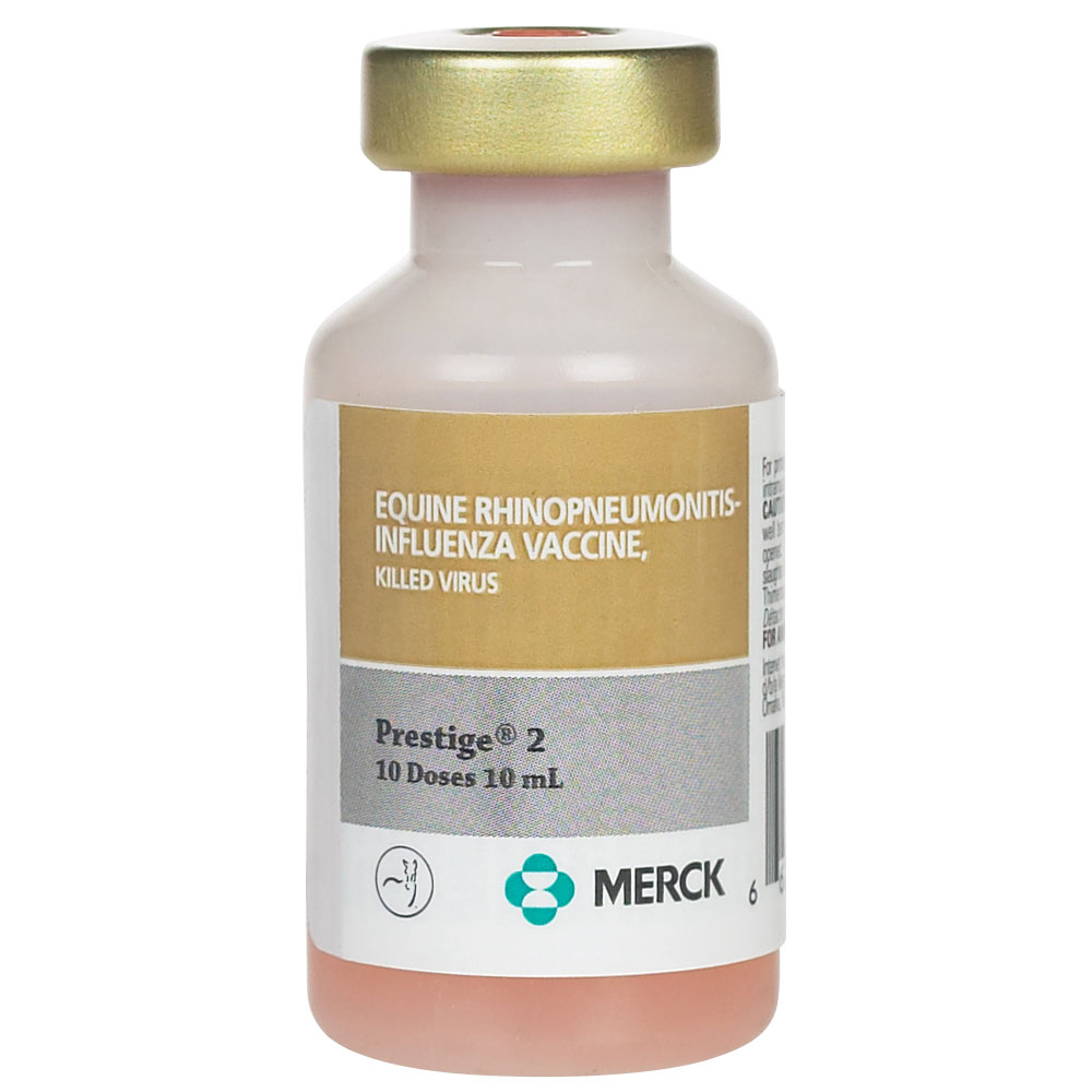 Prestige for Horses - II Rhino Flu Combo (10 Doses) - [Respiratory ...