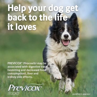 Previcox 227mg, 180 Ct | On Sale | EntirelyPets Rx