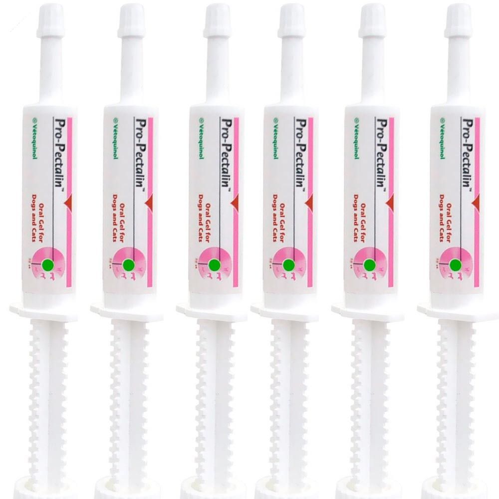 Pro-Pectalin Anti-Diarrheal Gel for Dogs & Cats (180 cc) | On Sale ...