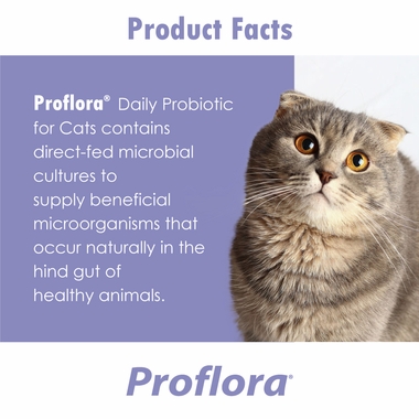 3-PACK Proflora Probiotic for Cats (90 Servings) | On Sale ...