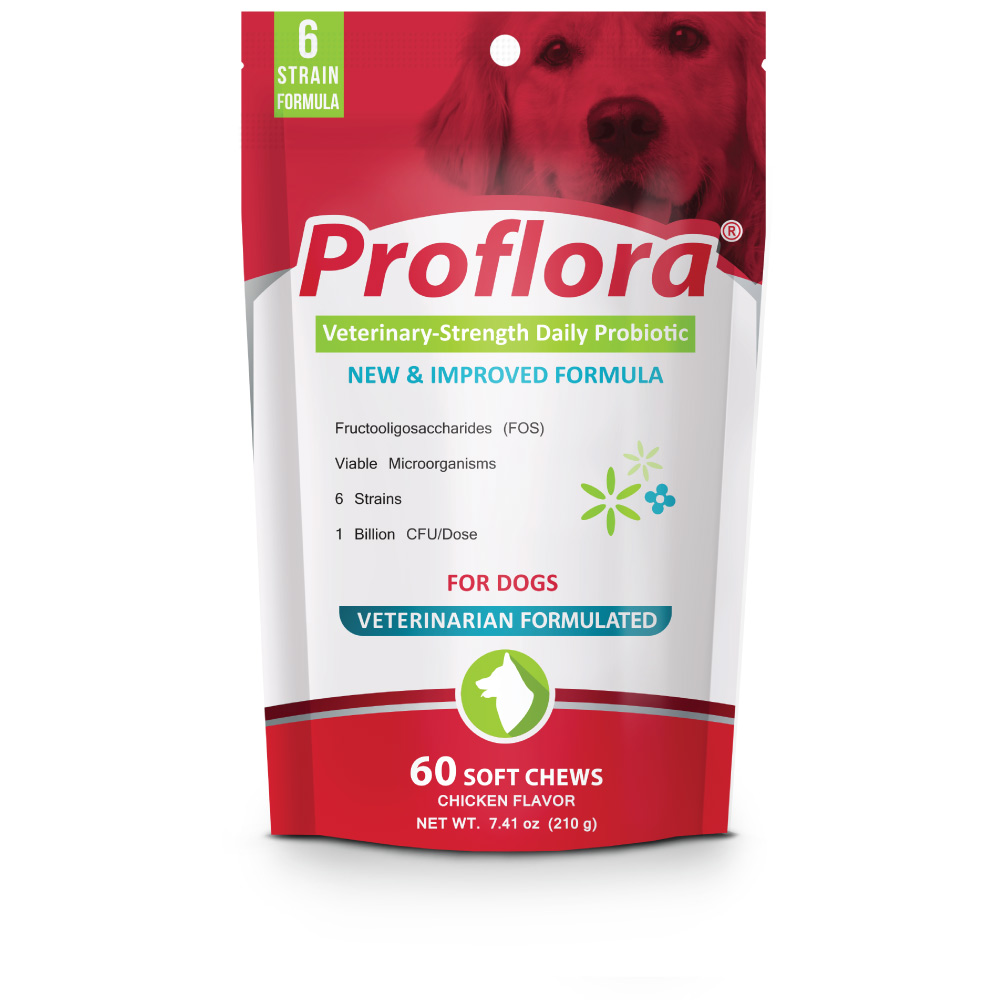 Proflora Probiotic Soft Chews for Dogs (60 Count) | On Sale ...