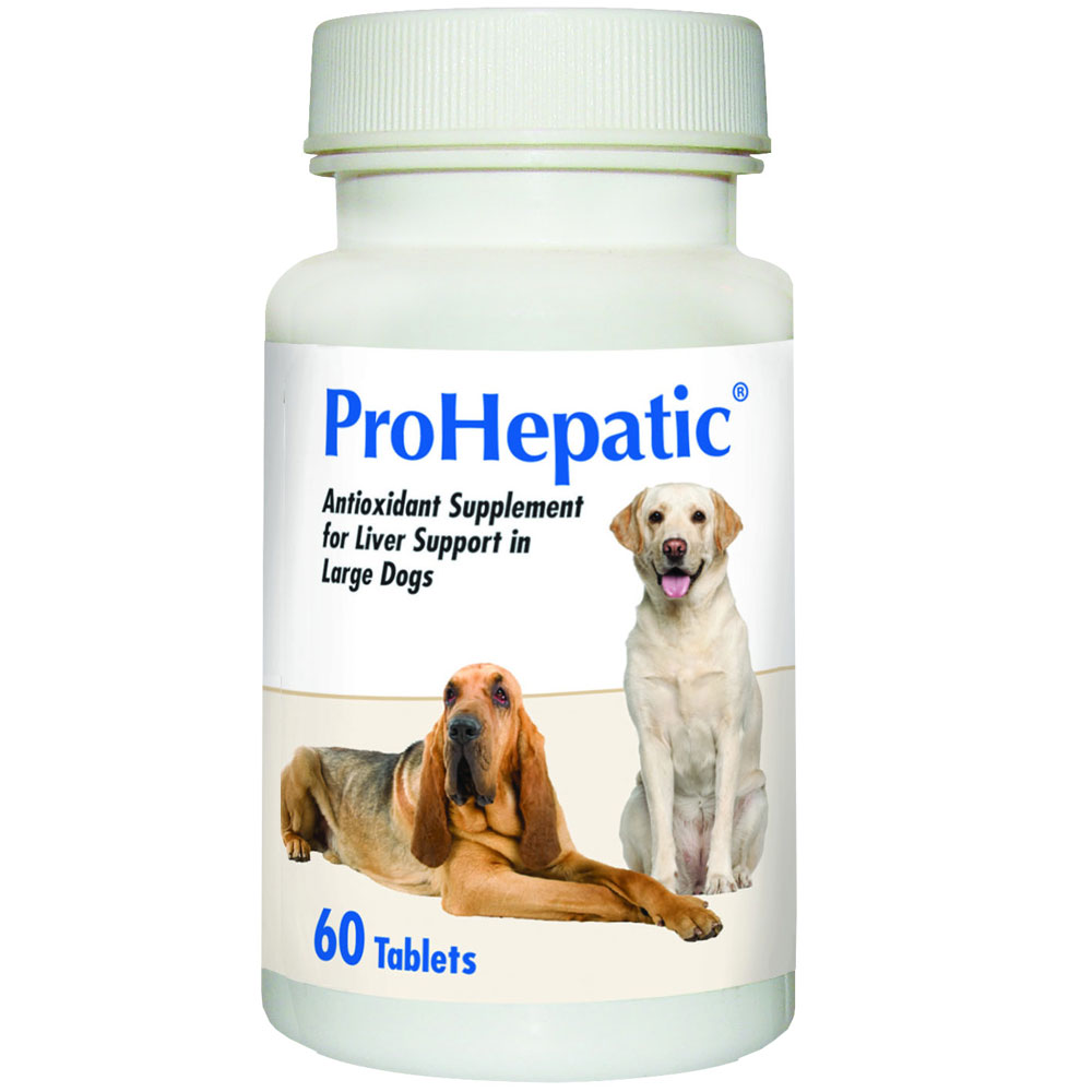 ProHepatic Liver Support Chewable Tablets for Large Dogs, 60 count | On ...