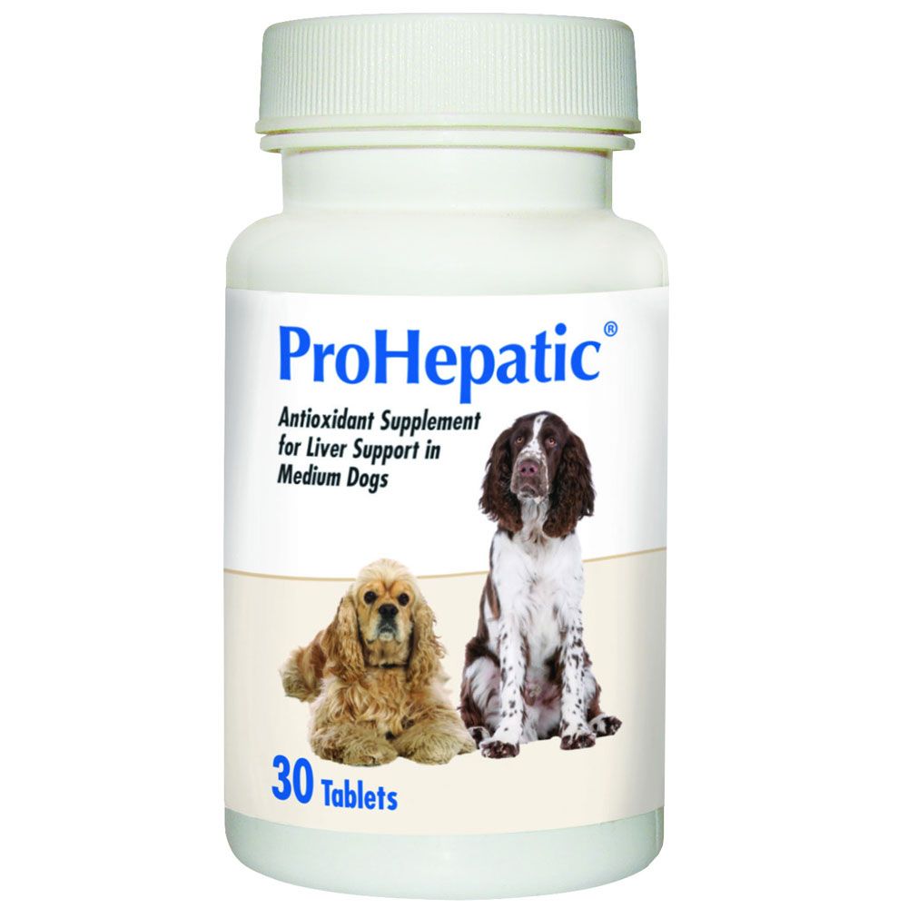 ProHepatic Liver Support Chewable Tablets for Medium & Large Dogs, 30 ...
