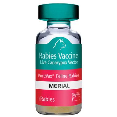 PUREVAX Feline Rabies 1 year, 1 ml dose, 25x1 dose | On Sale ...
