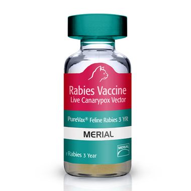 PUREVAX Feline Rabies 3 year, 1 ml dose, 25x1 dose | On Sale ...